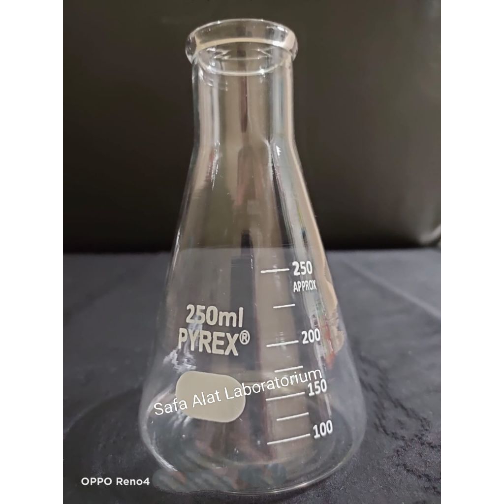Jual Erlenmeyer Flask 250 ml Pyrex Labu Erlenmeyer Pyrex | Shopee Indonesia