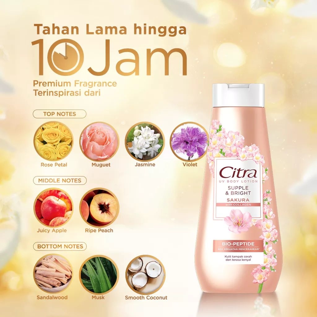 Jual Citra UV Body Lotion Supple & Bright Collagen Sakura 210ML ...