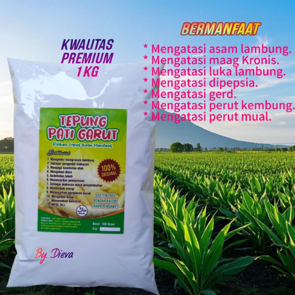 Jual Pati Garut Original 1 Kg Tepung Pati Garut Obat Maag Asam Lambung ...