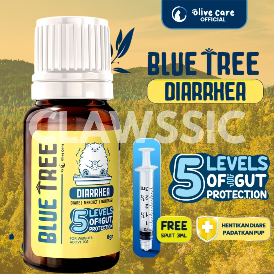 Jual DIARRHEA BLUE TREE (Diare) dengan 5 Lapis Perlindungan Usus ...