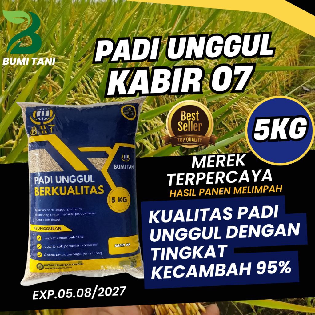 Jual Benih padi Unggul KABIR 07 kemasan 5kg KUALITAS BENIH UNGGUL | Shopee Indonesia