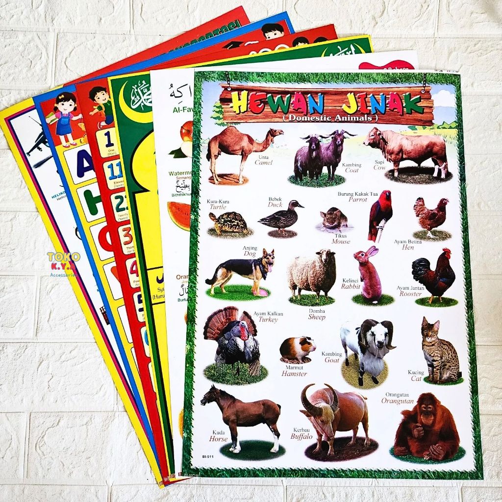 Jual PAKET POSTER EDUKASI 6 LEMBAR/POSTER MURAH/POSTER EDUKASI/POSTER ...