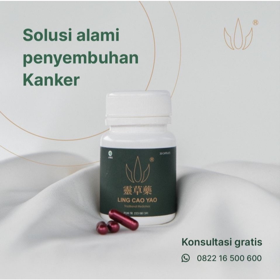 Jual Ling Cao Yao - (Obat Kanker / Tumor/ Kista) by IndoJamu | Shopee ...