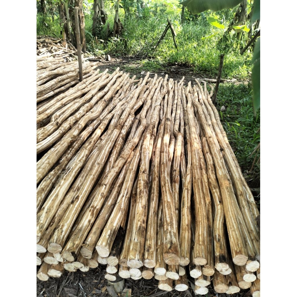 Jual Kayu Dolken Terlengkap & Harga Terbaru April 2026 | Shopee Indonesia
