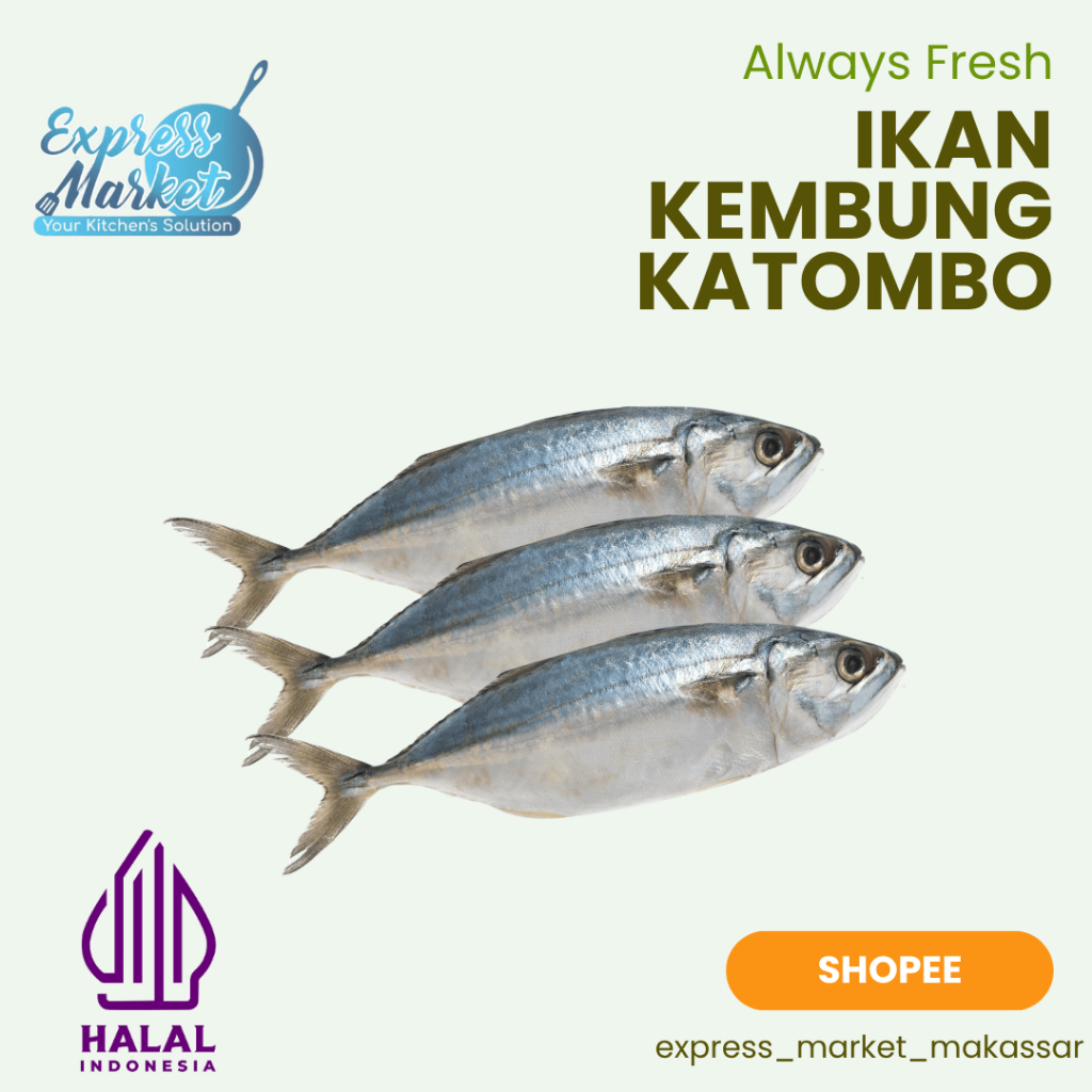 Jual Ikan Laut Ikan Kembung Katombo Halal Kemasan 1kg | Shopee Indonesia