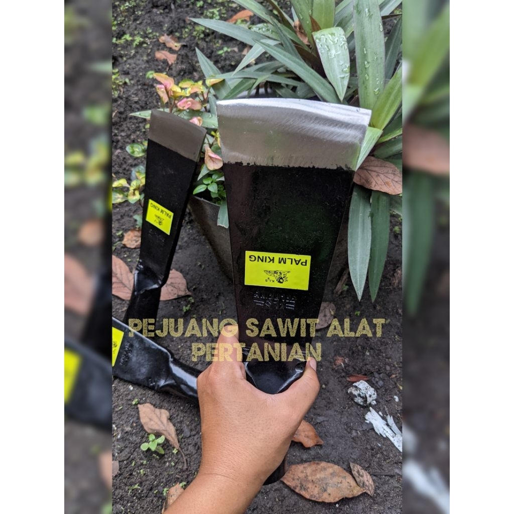 Jual DODOS KLS PALM KING ALAT PANEN SAWIT/ DODOS // DODOS SAWIT // ALAT ...