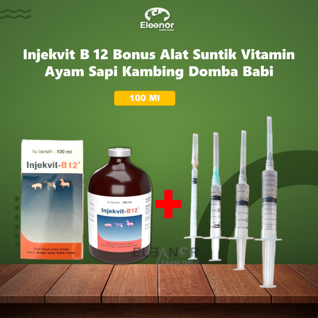 Jual Injekvit B 12 Bonus Alat Suntik Vitamin Ayam Sapi Kambing Domba ...