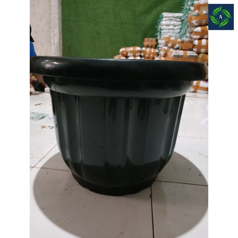Jual Pot Tanaman Bulat Gloria Diameter 50 CM Hitam Plastik Kualitas ...