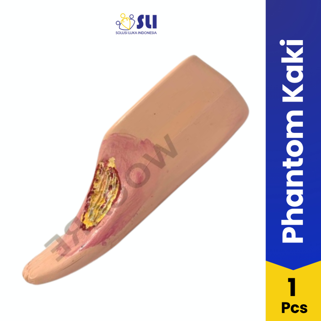 Jual Phantom Kaki - Dummy Kasus Luka Diabetes | Shopee Indonesia