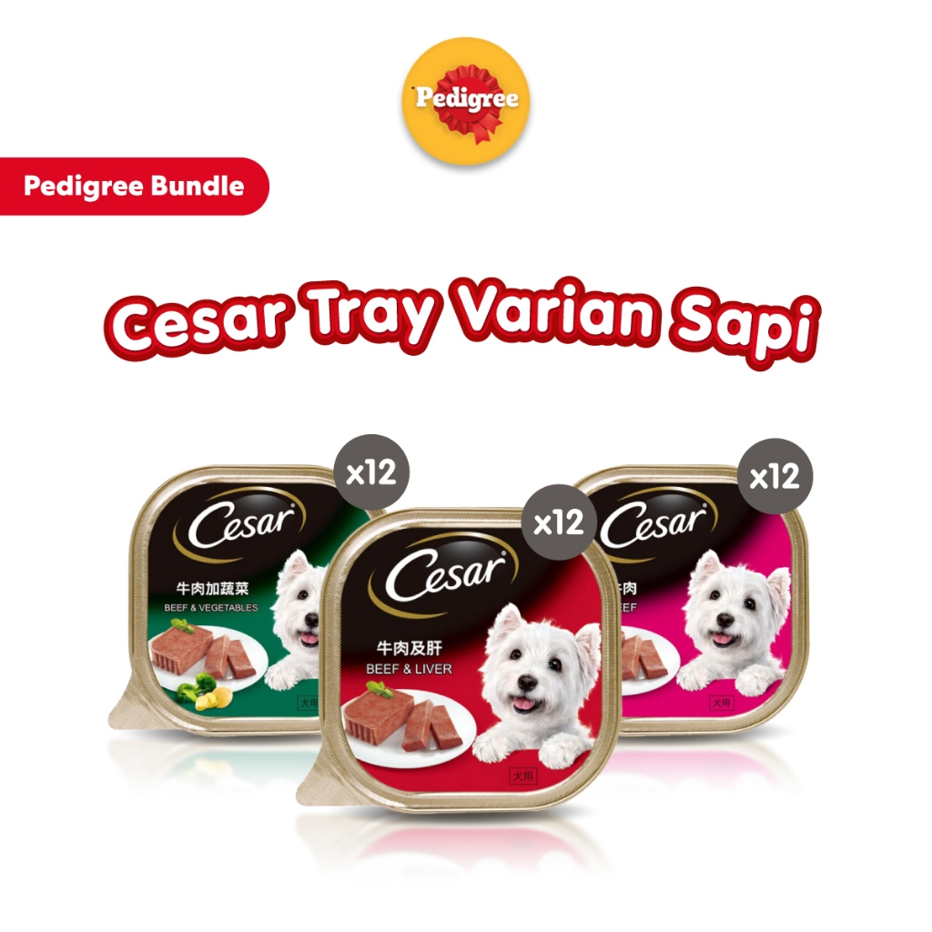 Jual [SPESIAL BUNDLE RASA SAPI] Cesar Makanan Anjing Basah Premium Tray ...