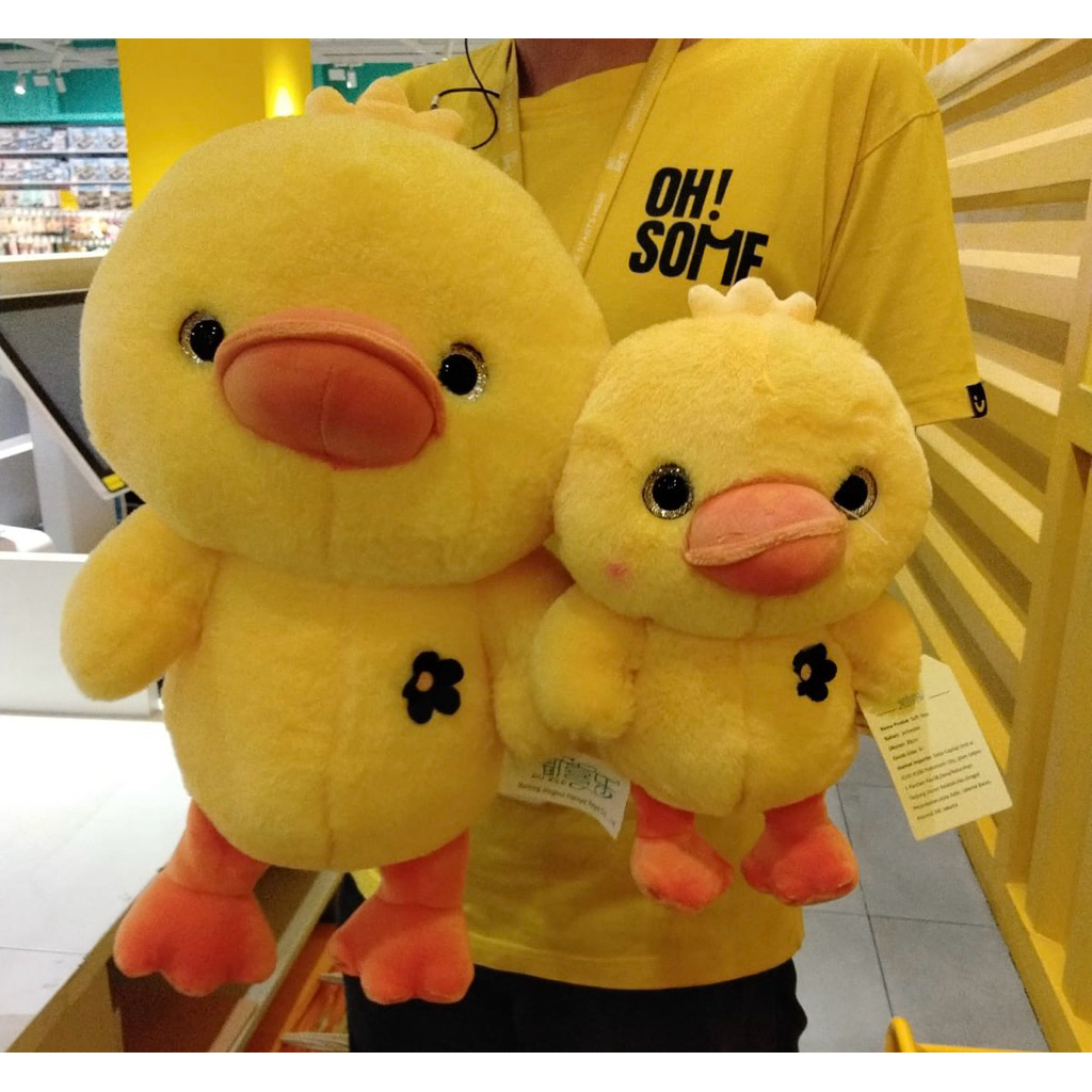 Jual Boneka Bebek/ Duck Ruani/ Boneka bebek ruani/ Duck Doll | Shopee ...