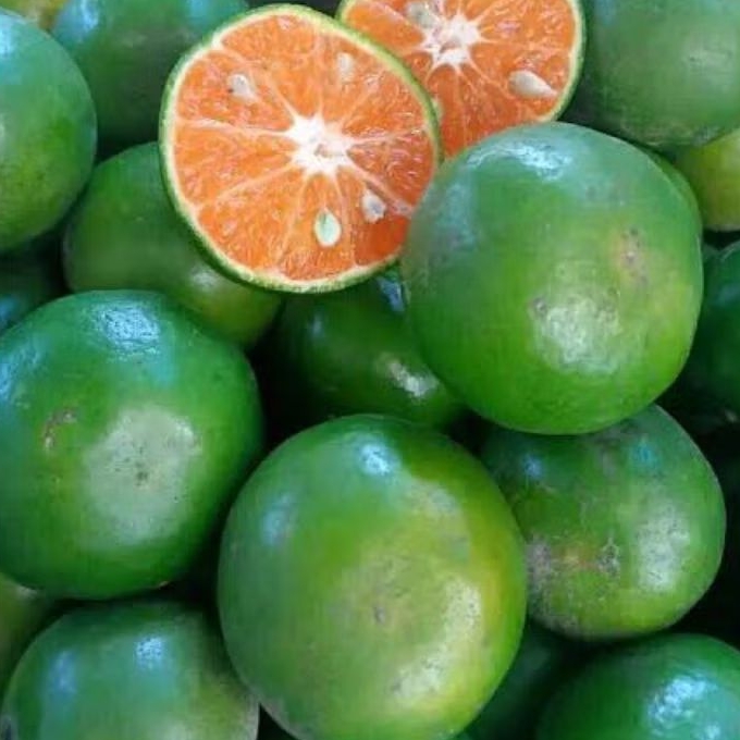 Jual Jeruk Peras 1 Kg | Shopee Indonesia