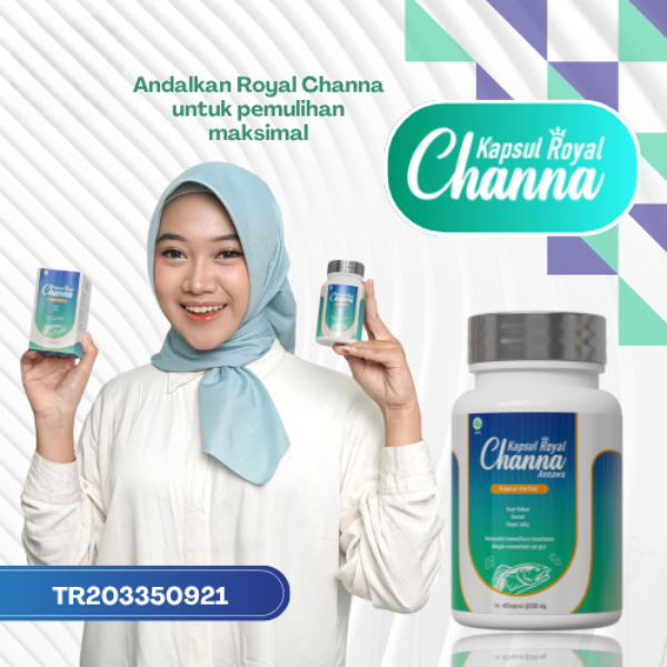Jual ROYAL CHANNA Kapsul Ikan Gabus Pasca Operasi Suplemen Pengering ...