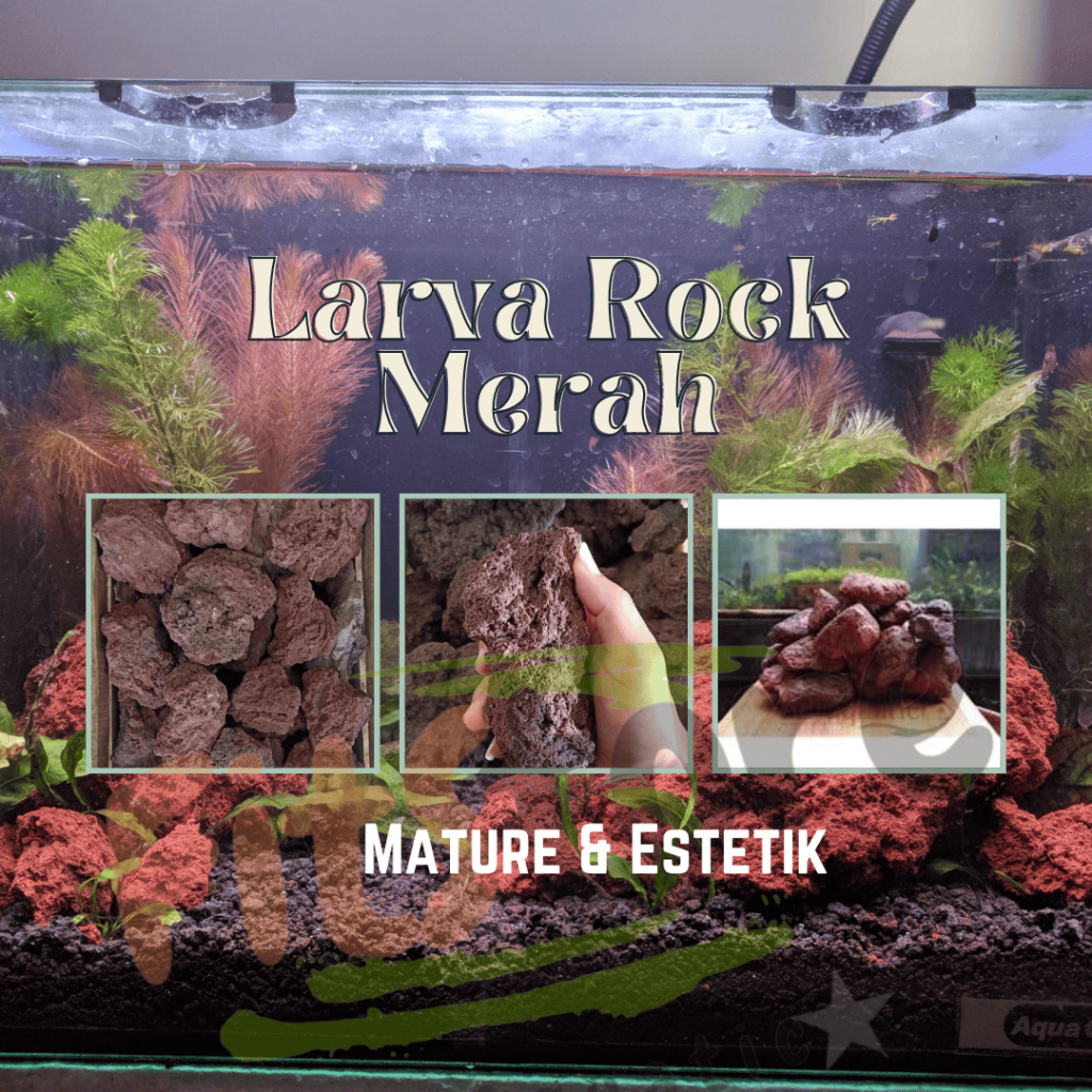 Jual Batu Lava Rock-Batu Lava Aquascape Batu Lava Rock Aquarium Batu ...