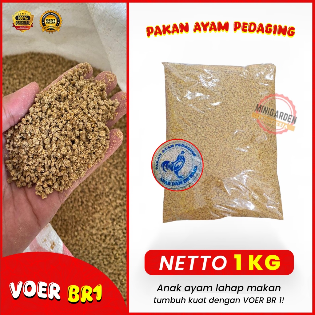 Jual PAKAN AYAM PEDAGING POR PUR VOER BR1 1KG makanan anakan induk ayam ...