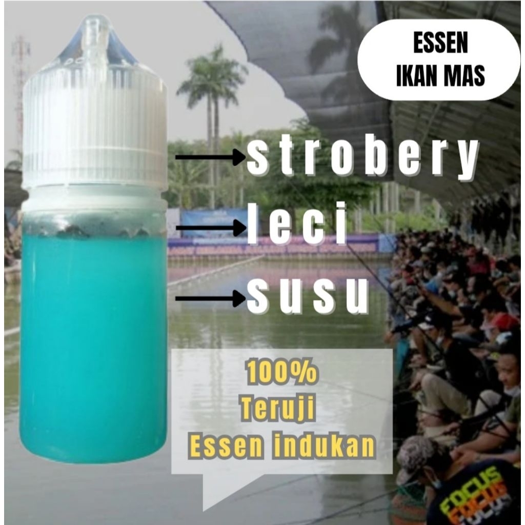 Jual essen oplosan strobery leci susu essen ikan mas harian lomba essen ...