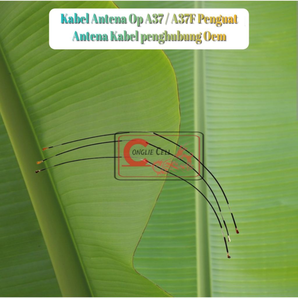 Jual KABEL CABLE ANT ANTENA OP A37 ORIGINAL OEM UKURAN 16 CM | Shopee Indonesia