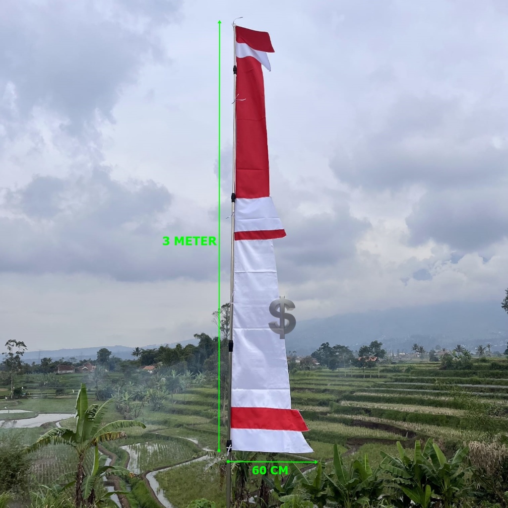 Jual BENDERA UMBUL - UMBUL BANDIR POLOS 3 METER WARNA - WARNI | Shopee Indonesia