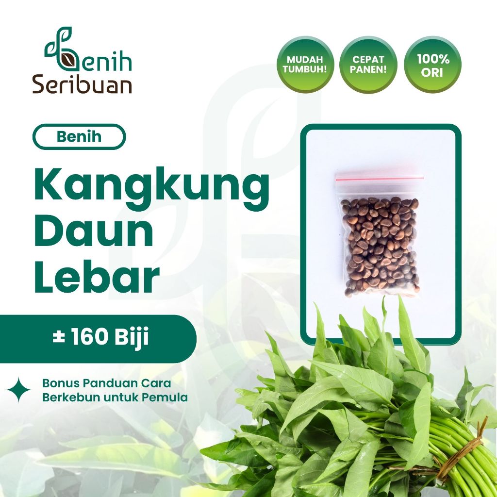 Jual Benih Seribuan - 160 Benih Sayuran Kangkung Daun Lebar | Shopee ...