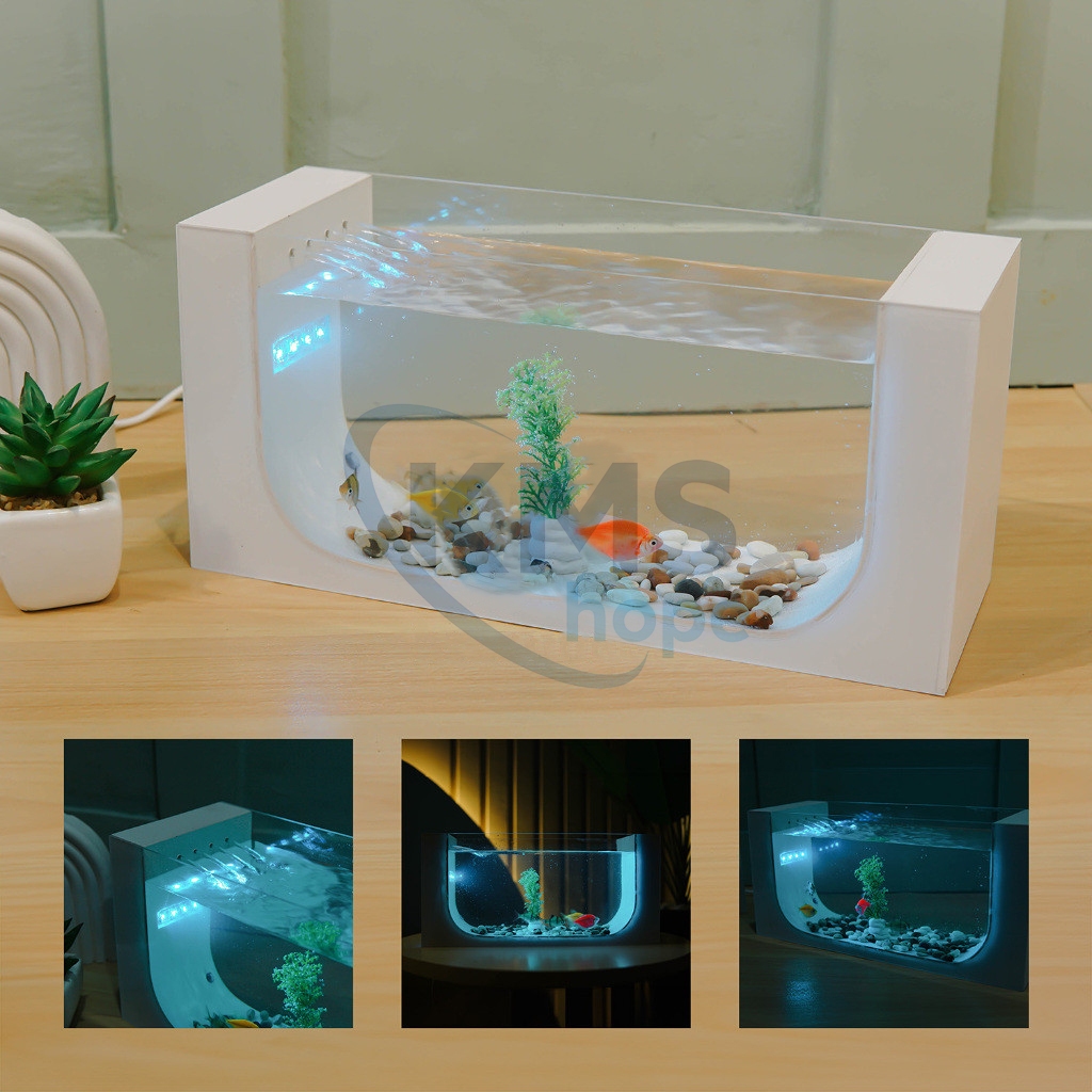 Jual Aquarium Mini Kotak Fullset Minimalis / Hiasan Meja Kantor Kamar ...
