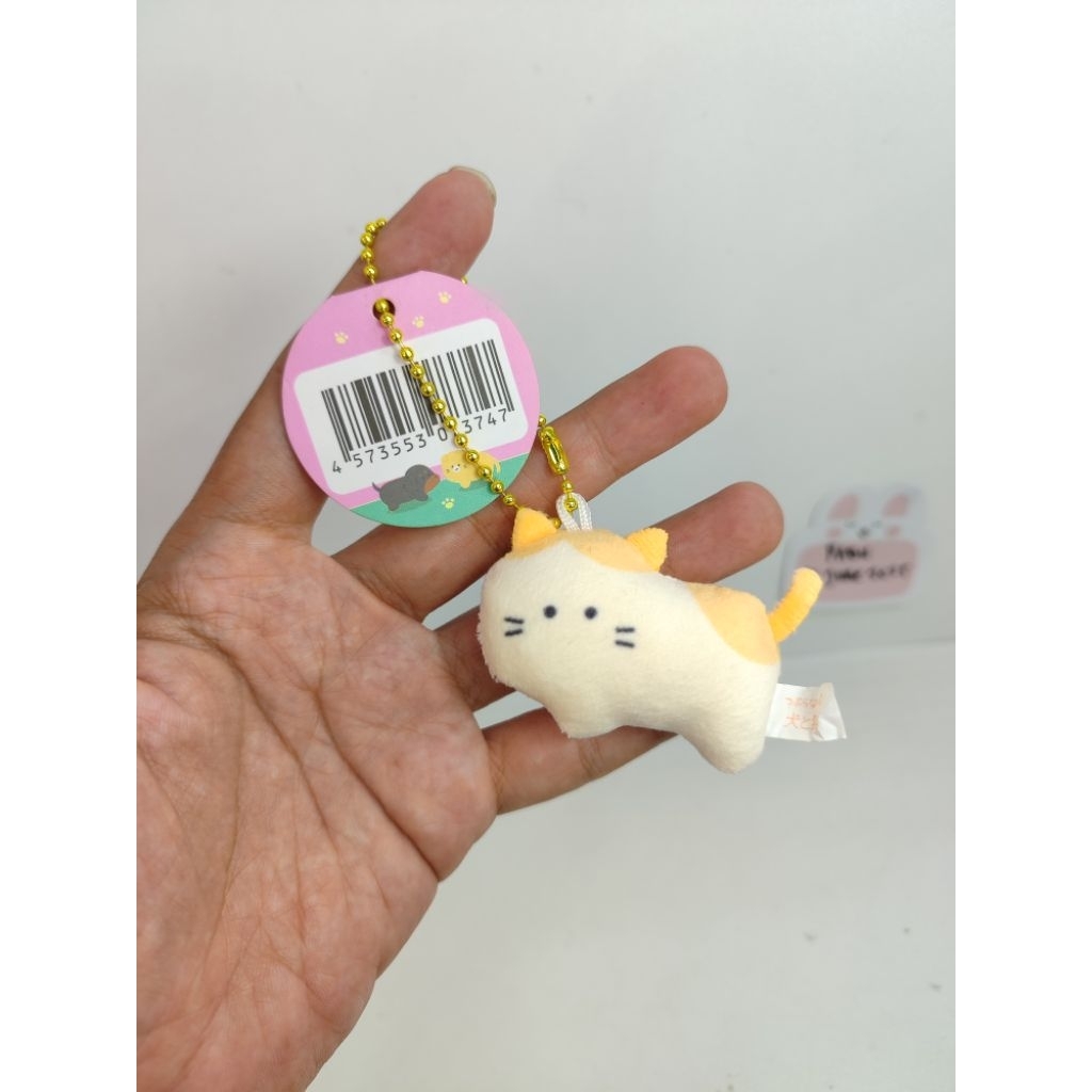 Jual boneka puchi mascot neko cat with eyes mini original yell | Shopee ...