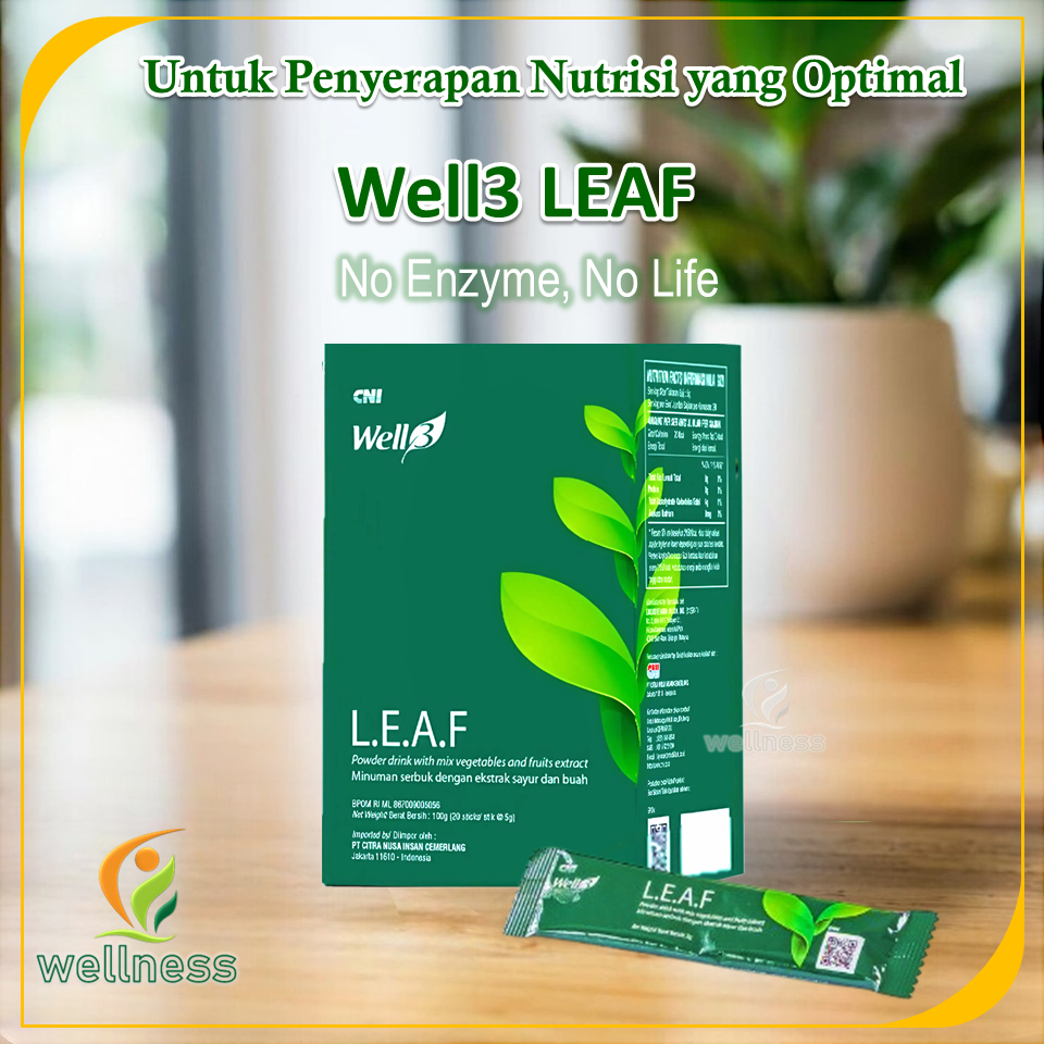 Jual Well3 LEAF – Suplemen Enzim Alami | Jaga Pencernaan, Peradangan ...