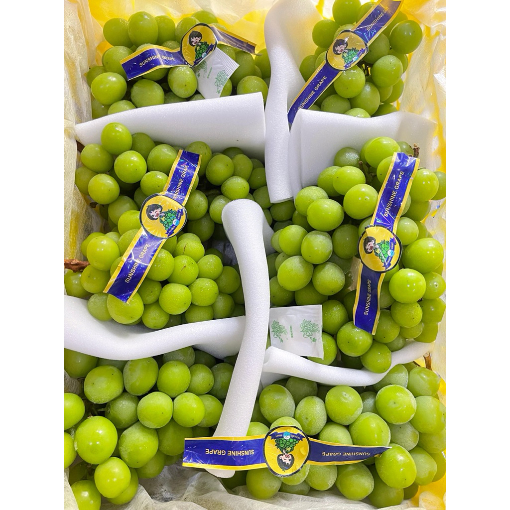 Jual ANGGUR MUSCAR HIJAU KRAT IMPORT 5KG | Shopee Indonesia