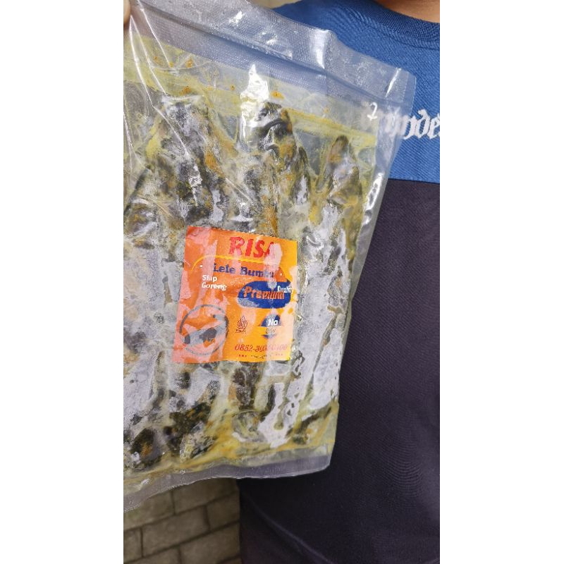 Jual Lele Frozen Berbumbu | Shopee Indonesia