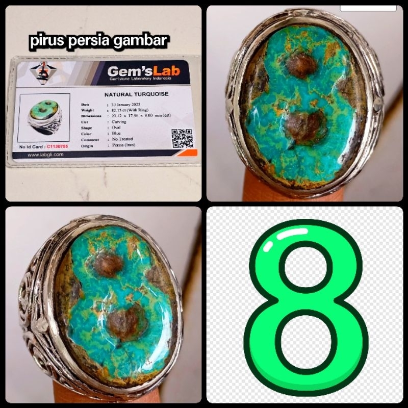 Jual pirus ijo daun persian ( asli gambar angka 8 alami NTE ) | Shopee ...