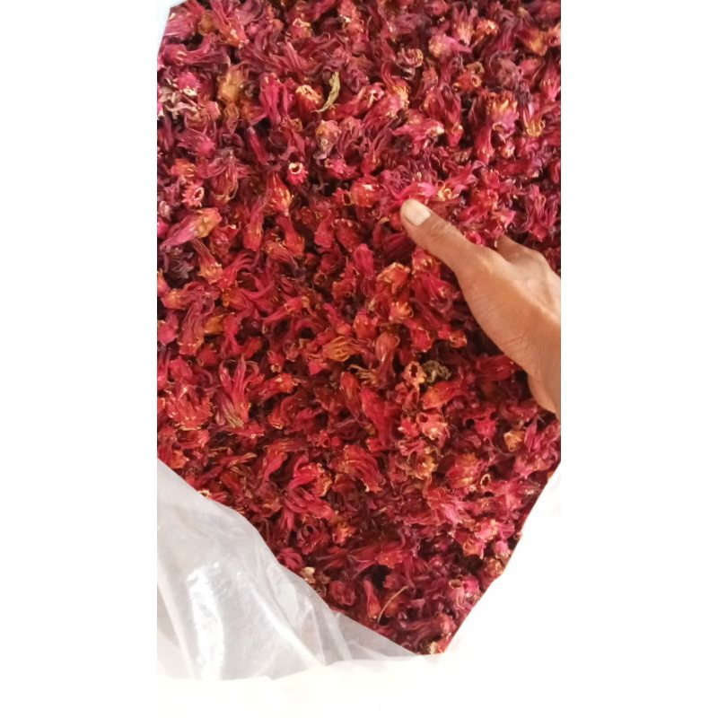 Jual 500 gram Bunga Rosela merah kering Premium panen baru kualitas ...