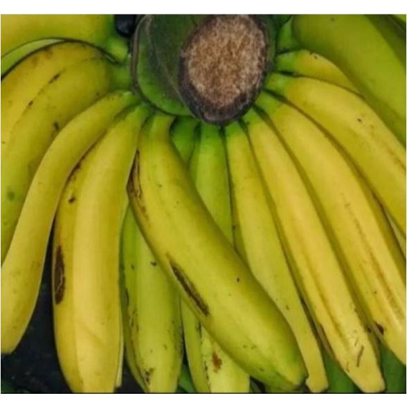 Jual BUAH PISANG AMBON SUPER 1KG | Shopee Indonesia