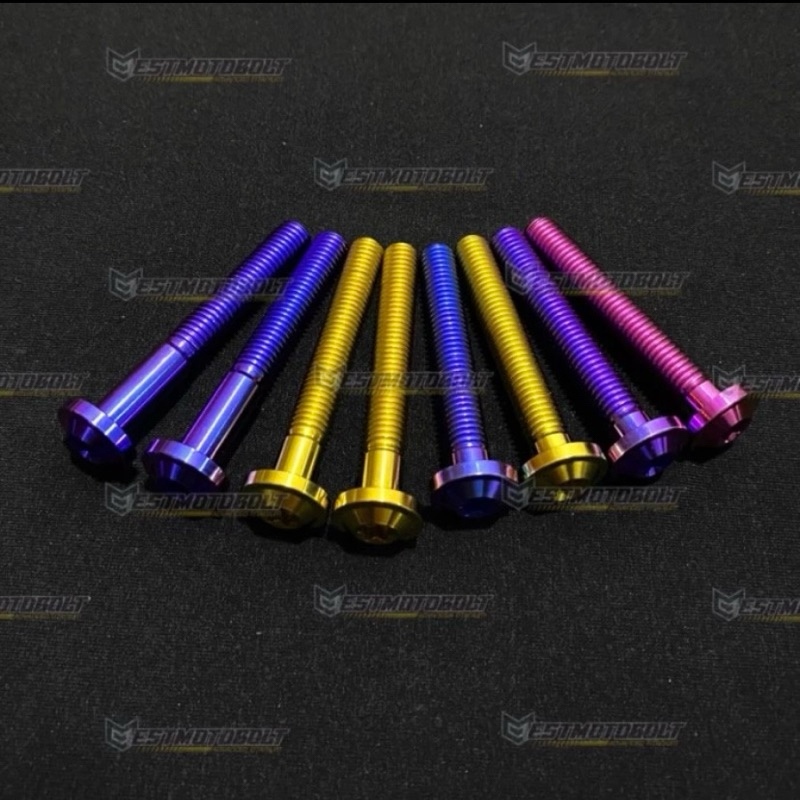 Jual BAUT TITANIUM M8 ( DRAT 12 ) BIG HEAD 50mm - 120mm TITANIUM GR5 ( harga 1 pcs ) | Shopee ...