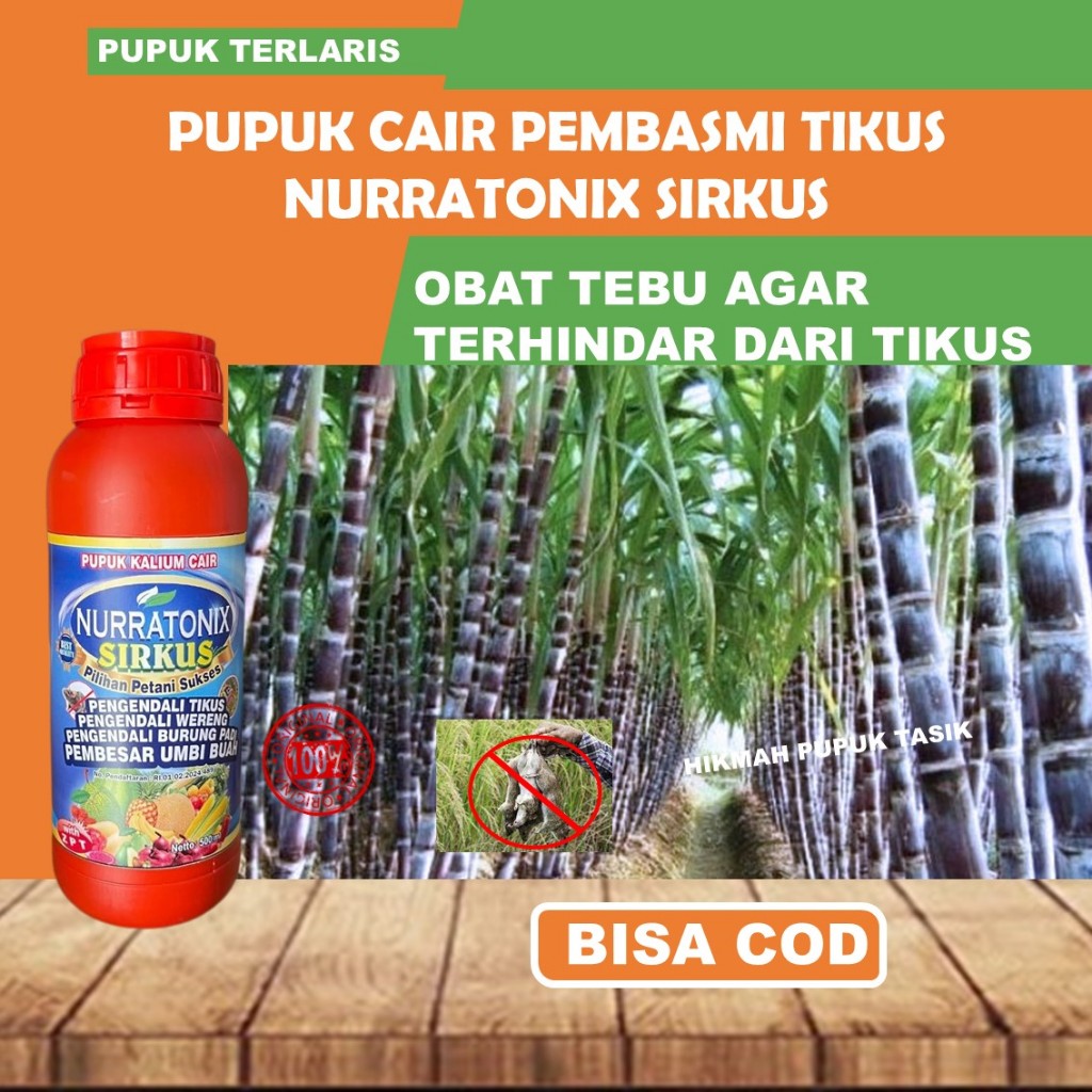 Jual PESTISIDA PEMBASMI HAMA TIKUS TEBU PALING AMPUH 500 ML NURRATONIX ...