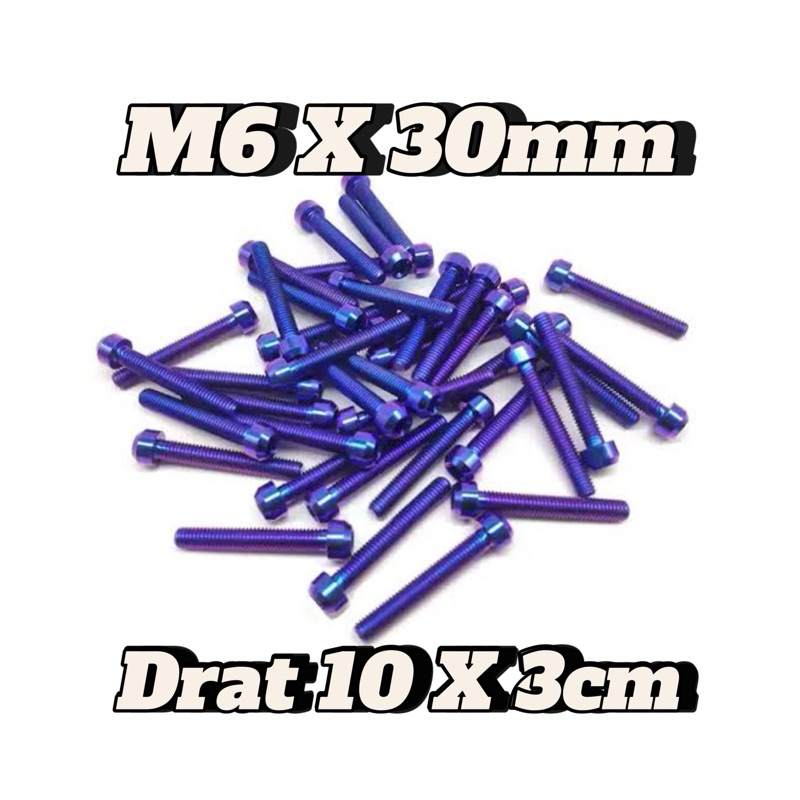 Jual Baut Titanium M6 X 30mm Baut Titanium Drat 10 Panjang 3cm Head ...