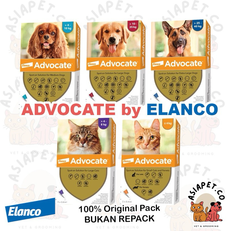 Jual Advocate Dog and Cat Obat Tetes Kutu dan Cacing Anjing dan Kucing ...
