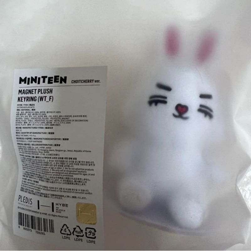 Jual [PELUNASAN MEI 2025] OFFICIAL MINITEEN CHOITCHERRY JJONGTORAM ...