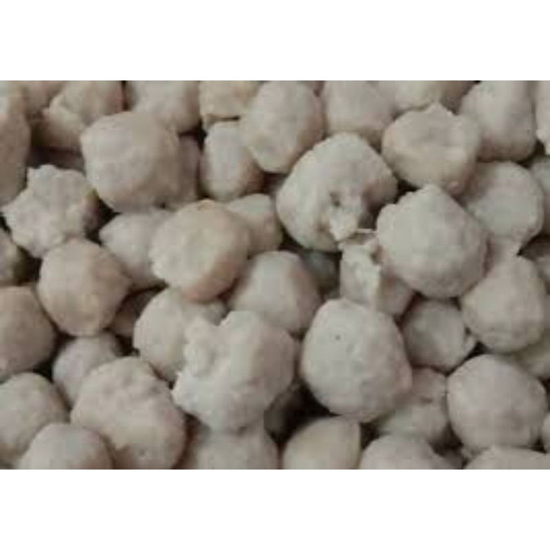 Jual CILOK AYAM FROZEN ISI 50 | Shopee Indonesia