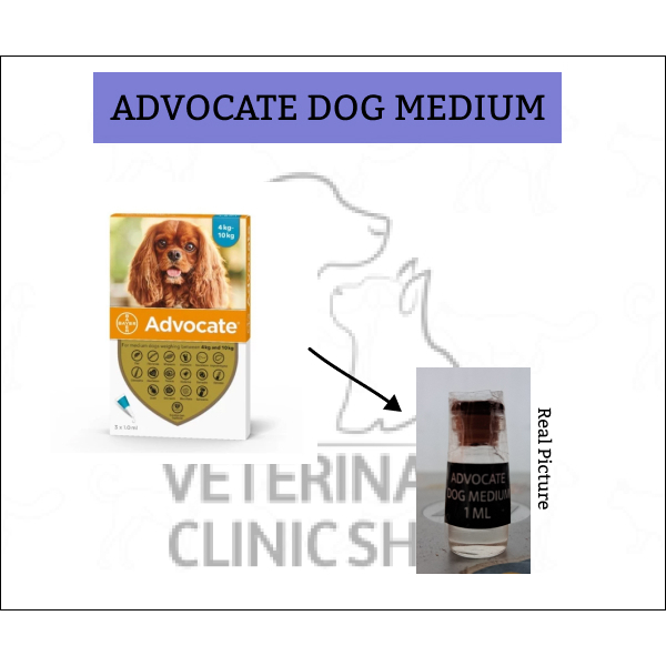 Jual Advocate Dog Medium 4-10 Kg Tetes Tenguk Untuk Anjing 1ml (1 botol ...