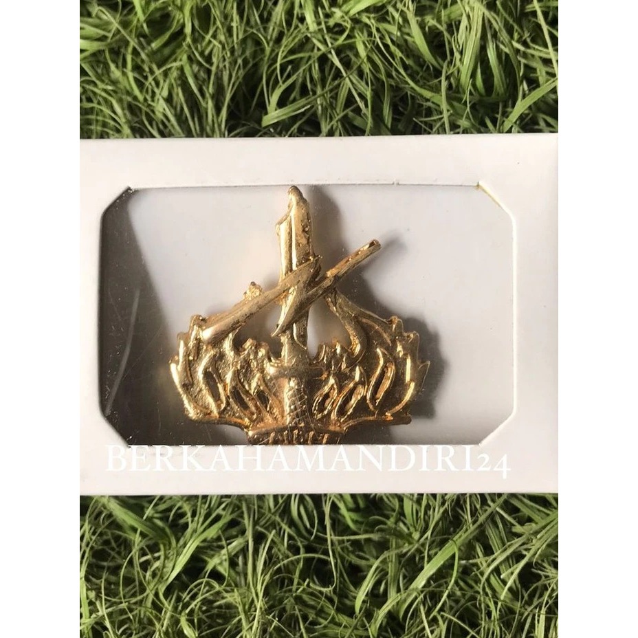 Jual BREVET Wing PDH TNI RAIDER / Wing PARA RAIDER | Shopee Indonesia