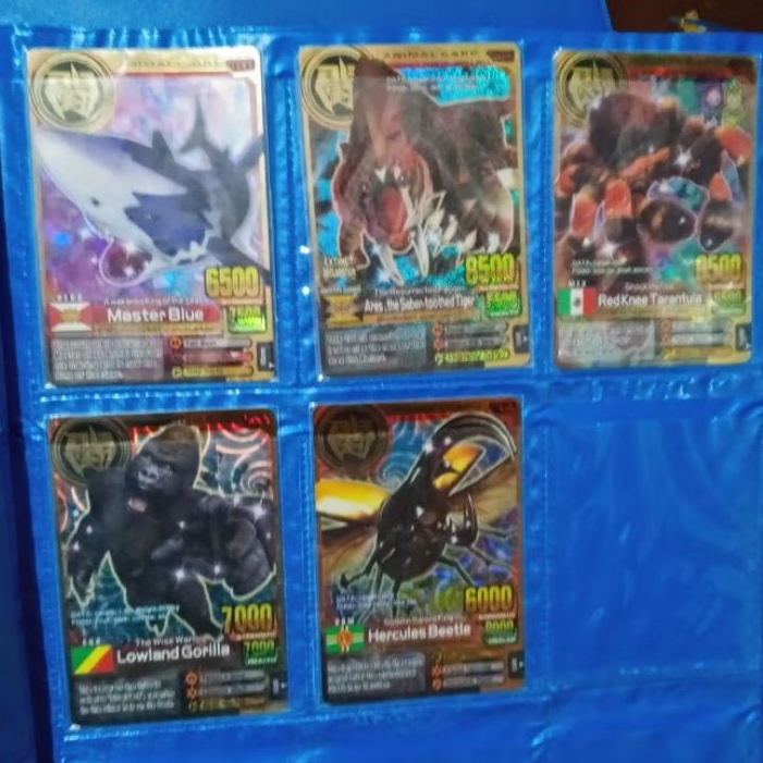 Jual kartu animal kaiser gold rare original | Shopee Indonesia