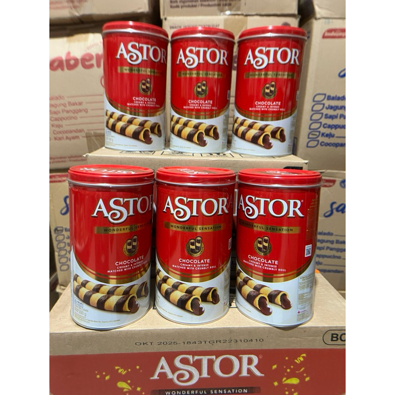Jual ASTOR WAFER ROLL STIK COKLAT 330 GRAM 1 DUS ISI 6 KALENG MAYORA ...