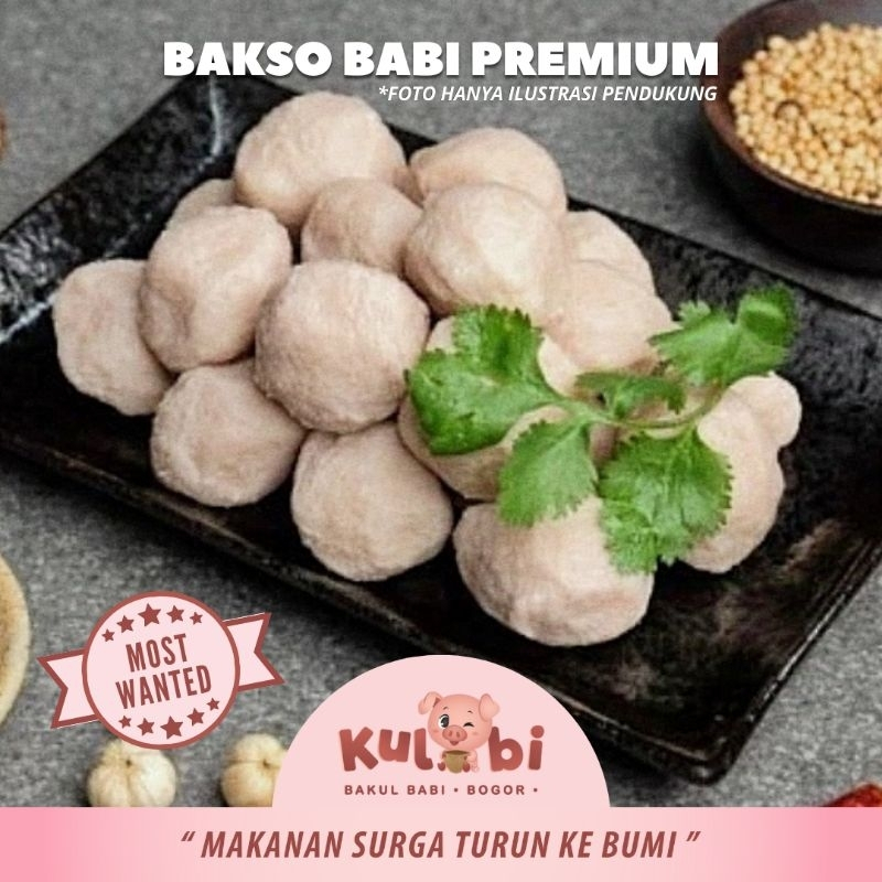Jual Bakso daging babi bakwan b2 misop/kuah/sop/tumis/goreng homemade ...