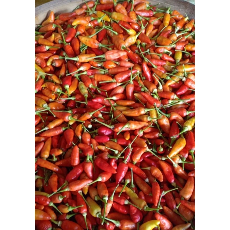 Jual Cabe rawit merah fresh dari petani | Shopee Indonesia