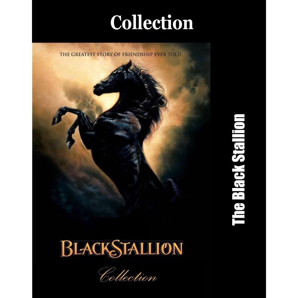 Jual DVD - The Black Stallion Collection (1979 - 1983) | Shopee Indonesia