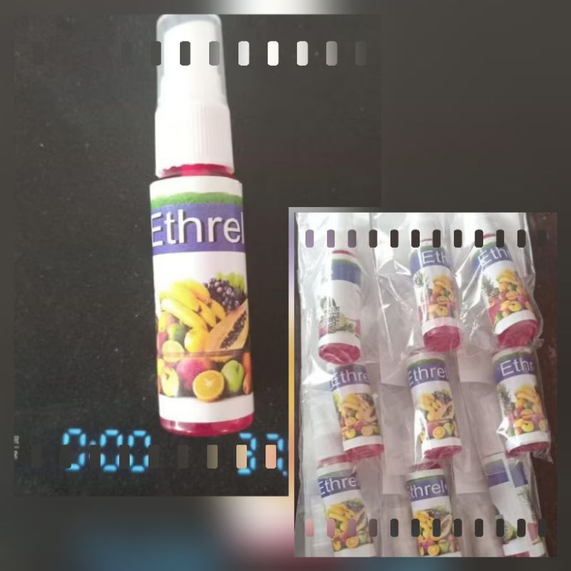 Jual Botol Spray Ethrel Pematang Pisang dan Buah lainnya [ Ecer Per ...