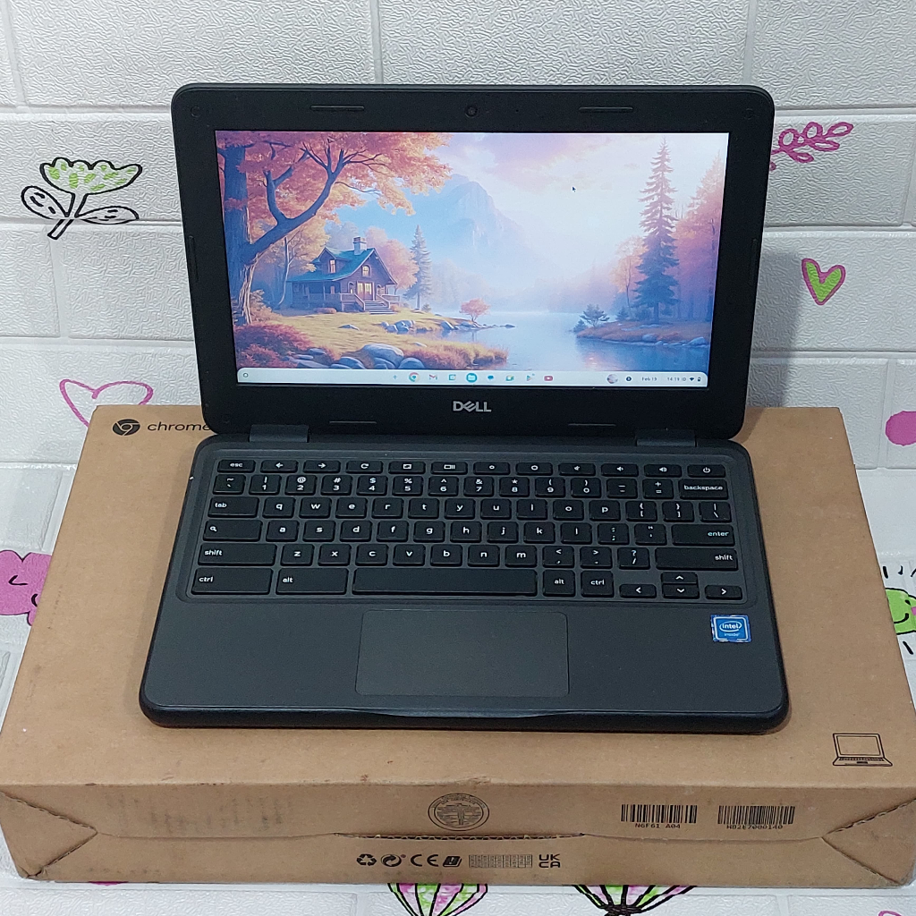 Jual Dell Chrombook P29T 3100 Intel N4020 Internal 32GB Mulus Fullset | Shopee Indonesia