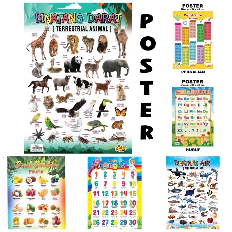 Jual (1Pack=isi 12) Poster Dinding Pendidikan Anak (Hijaiyah Angka ...