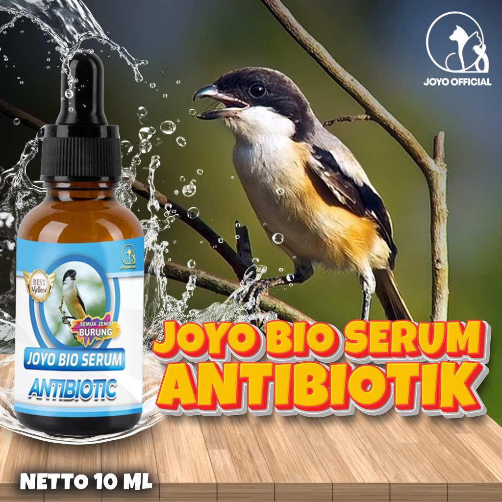 Jual OBAT BURUNG SAKIT | VITAMIN BURUNG SAKIT | BULU NGEMBANG | BURUNG ...