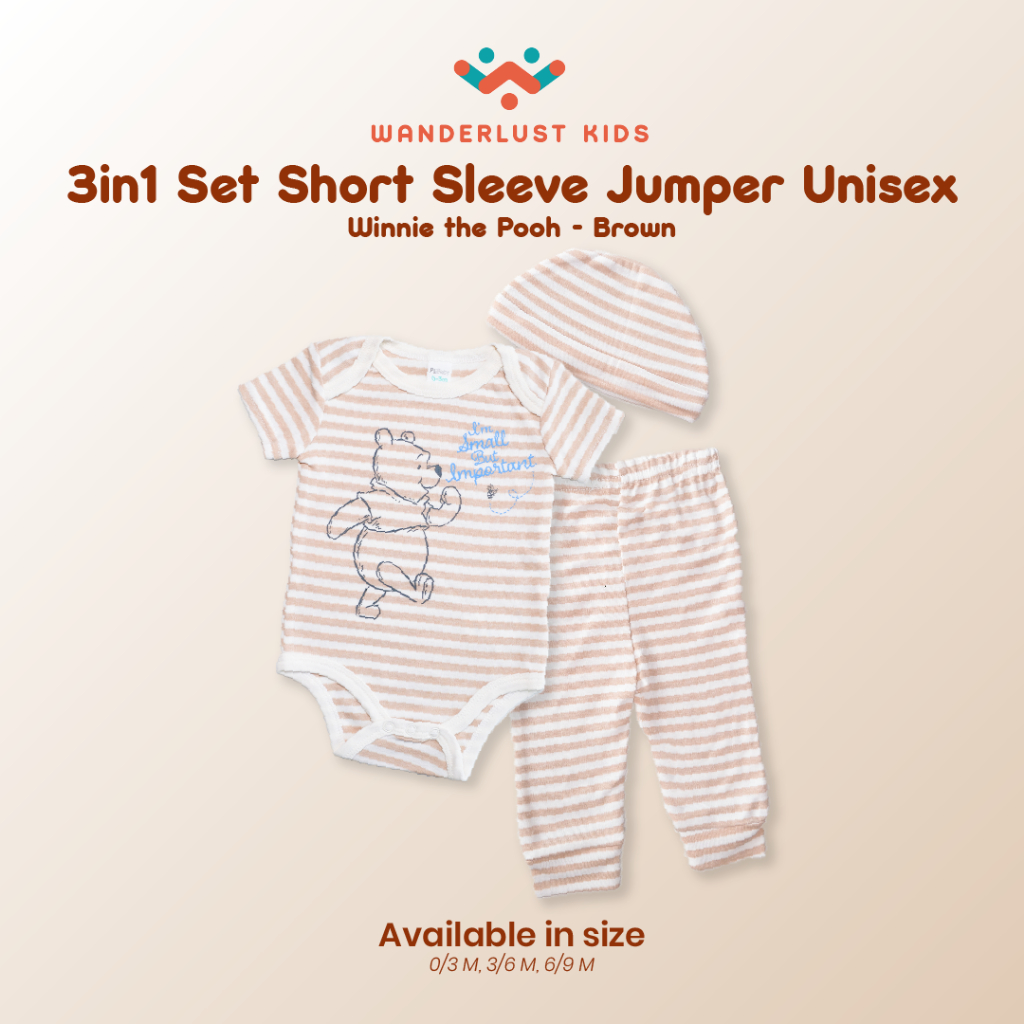 Jual 3in1 Set Long Sleeve Jumper Unisex Winnie The Pooh Brown Series ...
