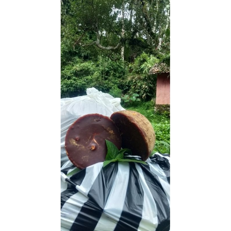 Jual gula aren asli 100% tanpa campuran gula pasir maupun gula kelapa ...